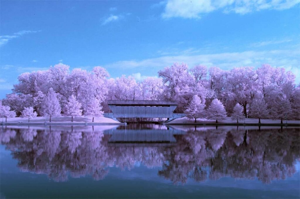 Stillframes Art & Design | Custom framing Columbus Indiana